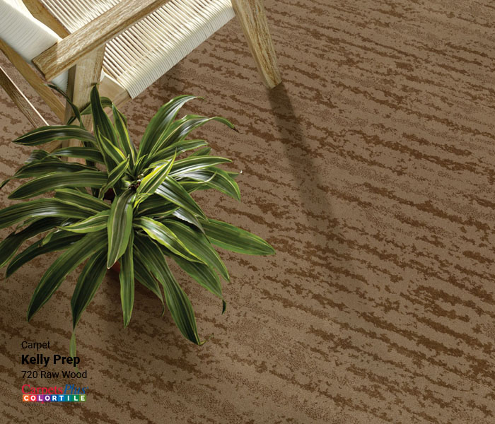 Look Book - CarpetsPlus COLORTILE